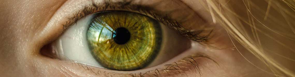 Eyegym: The Secret to Athletic Brain Training