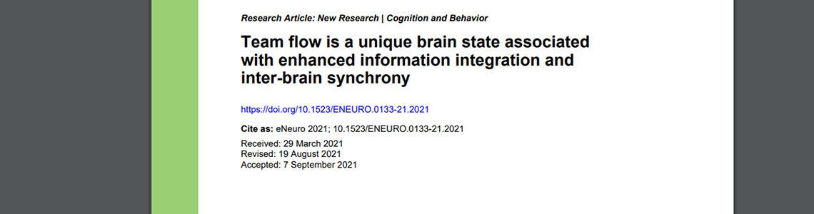 Understanding Team Flow: Brain Regions and Their Role